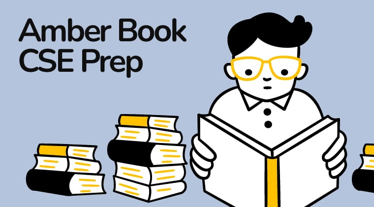 Amber Book