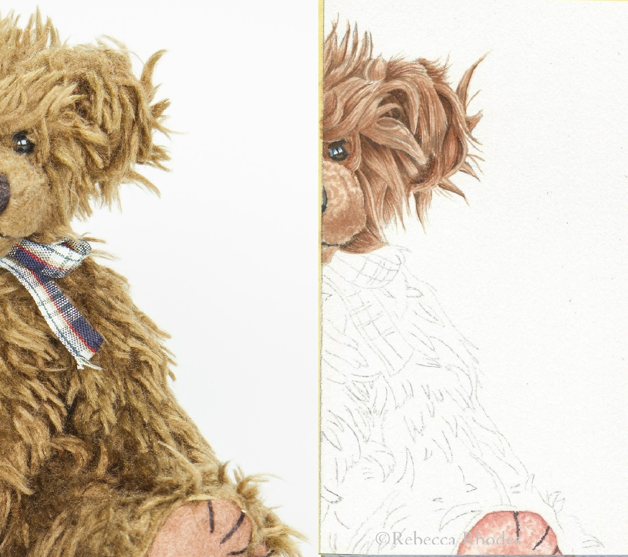 Complex Fur Patterns in Watercolor