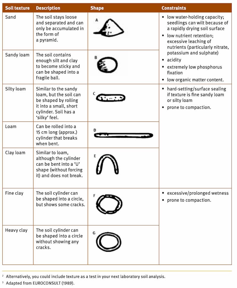 Soil Texture – ASA Courses