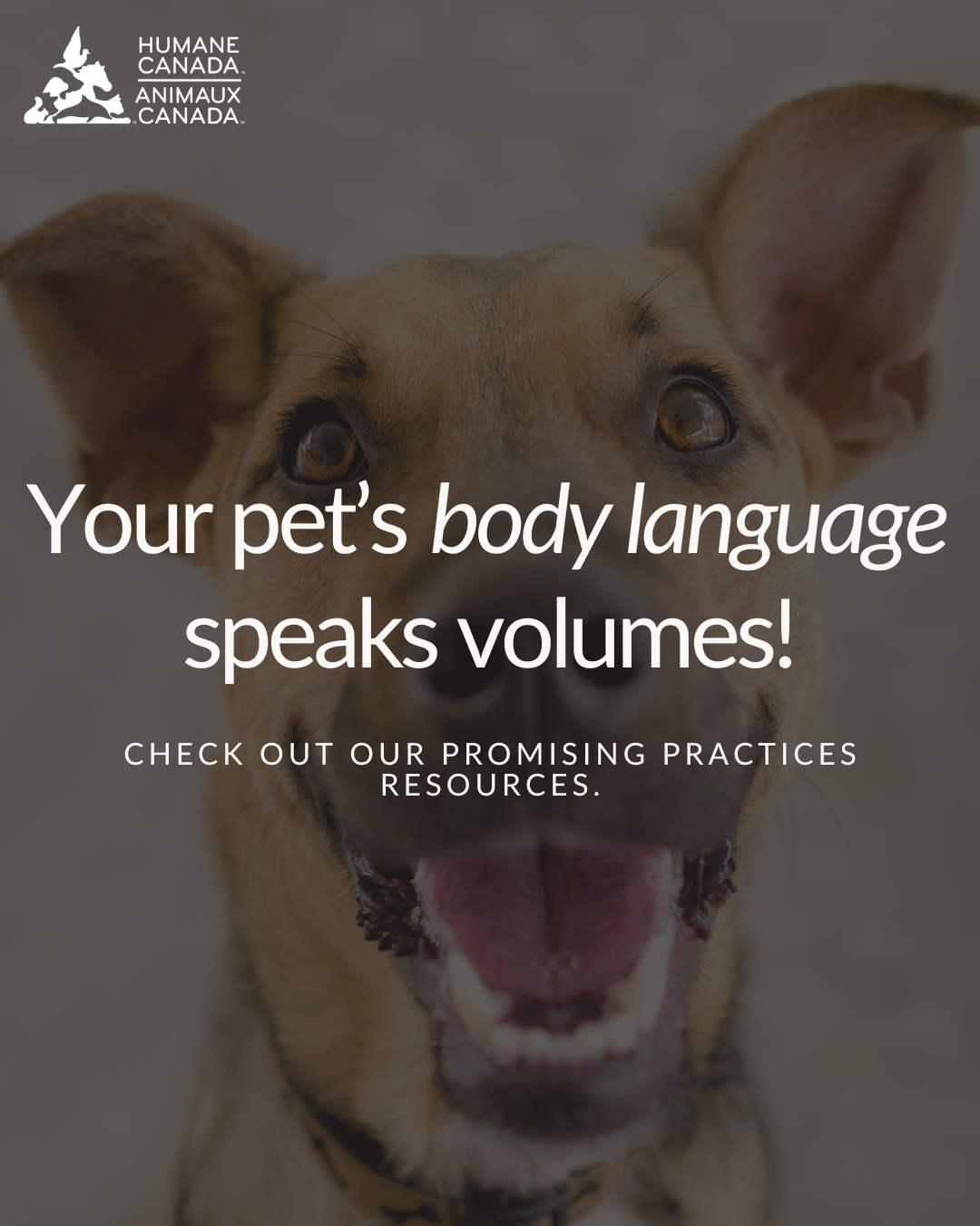 Promising Practices - Resources